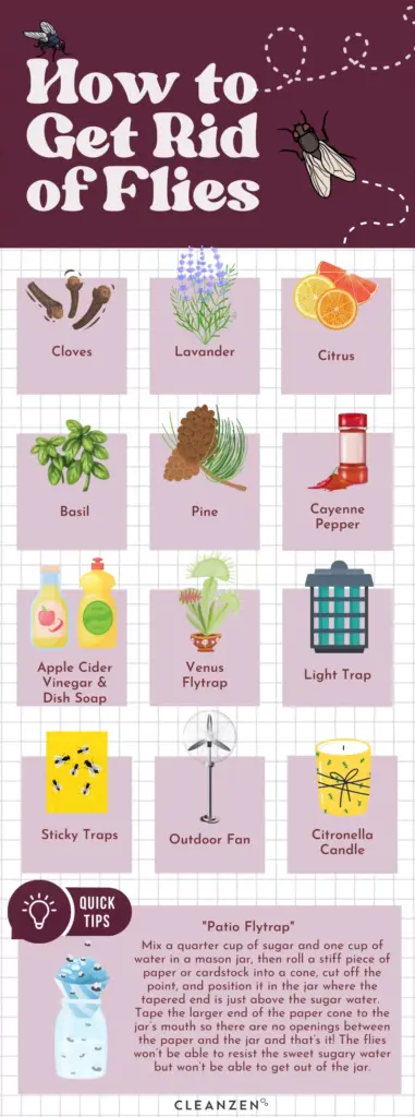 5 Effective Ways to Prevent Flies in Your Backyard: The 2025 Guide to ...